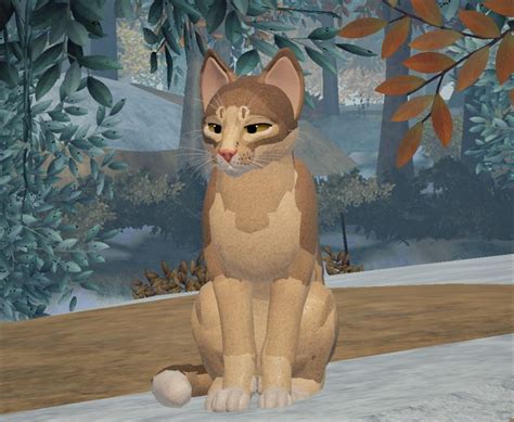 Brown Simple Shorthair Wcue Morph