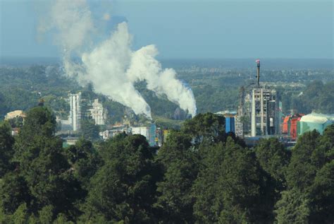 Criterios Esg Qu Son Y Para Qu Sirven Comefruta