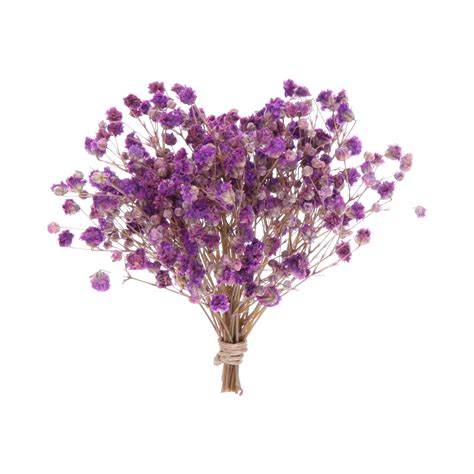 Álbum 200 ramo novia lavanda y paniculata Abzlocal mx