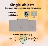Lecture Visual Acuity Functional Contrast Sensitivity Examinable
