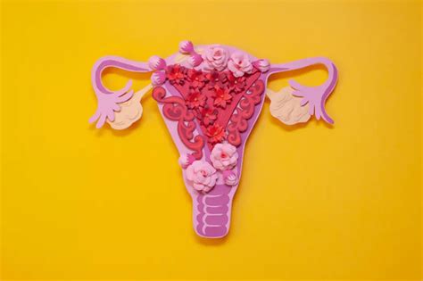 Endometriosis y abordaje psicológico Centro de Psicología Canvis