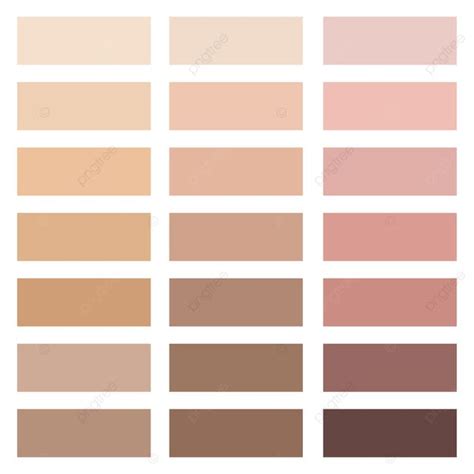 Tabla De Tonos De La Paleta De Colores De La Piel PNG Dibujos Beige