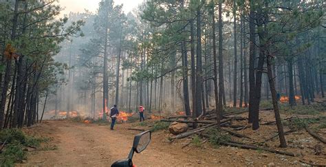 Más de 100 incendios forestales activos afectan a 18 estados de México