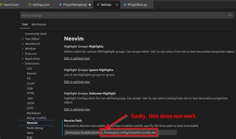 pass command line option to nvim executable via vscode settings · issue 80 · vscode neovim