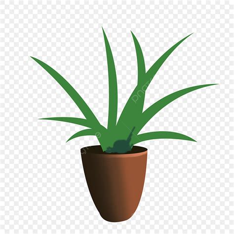 Plantas En Macetas Animadas Macetas Decoradas Images And Photos