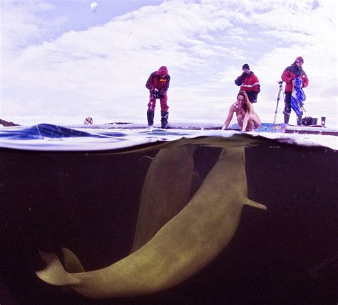 Princess Of Whales How A Naked Female Scientist Tries To Tame Belugas