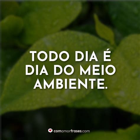 Dia Mundial Do Meio Ambiente Frases Posts Frases E Imagens Prontos