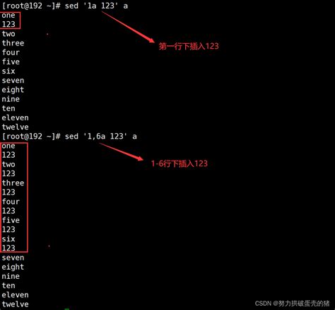shell系统编程三剑客之 sed编辑器 shell 编辑器 csdn博客