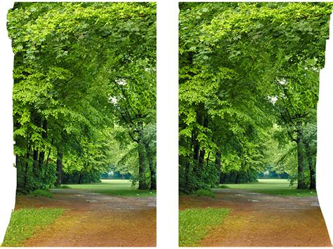 3D Pictures Cross Eyed Method 3D Pictures Cross Eyed Method