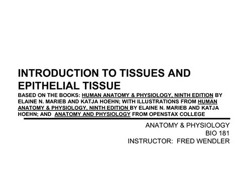 SOLUTION Presentation Introduction To Tissues And Epithelial Tissue V2