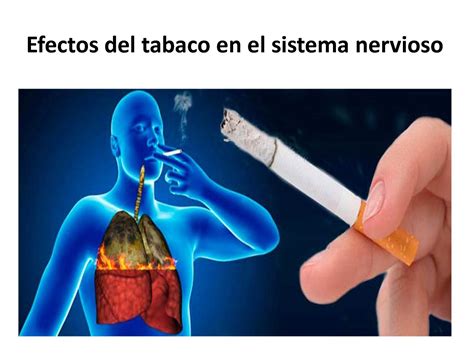 Calaméo Efectos Del Tabaco En El Sistema Nervioso