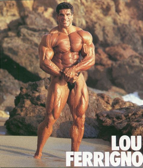 Muscle Lover Italian American Bodybuilding Legend Lou Ferrigno The