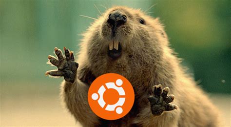 ubuntu 18 04 lts bionic beaver is now available here are the new features dignited