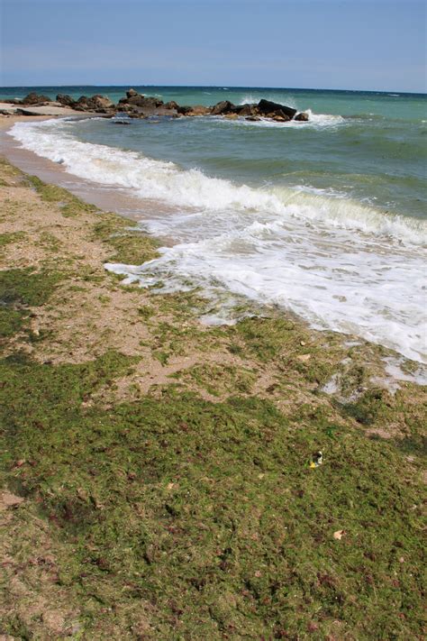 Kostenlose foto Strand Meer Küste Wasser Sand Rock Ozean Ufer