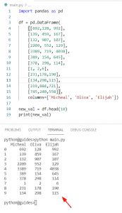 How To Get First N Rows Of Pandas Dataframe In Python Python Guides
