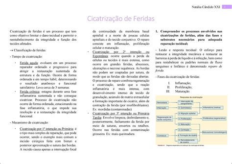 Mapas Mentais Sobre REPARO TECIDUAL Study Maps