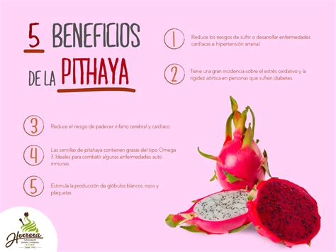 Infinitesimal LOS USOS Y BENEFICIOS DE LA PITAYA O FRUTA DEL DRAGÓN