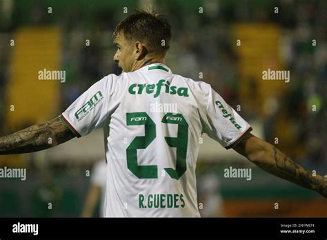 SC Chapeco 20 05 2017 Brasileiro A 2017 Chapecoense X Palmeiras