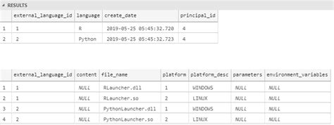 sql server 2019 extensibility framework and external languages niels berglund