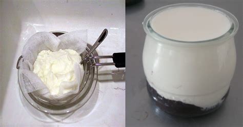Cómo hacer yogur griego casero Salud180