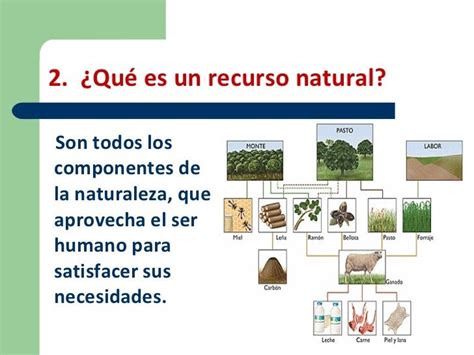 ECOLOGÍA Y MEDIO AMBIENTE RECURSOS NATURALES