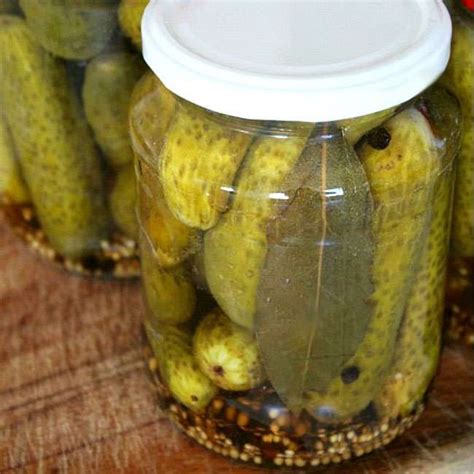 Como Fazer Conserva De Pepino Receita Natureba