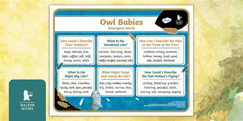 Free Owl Babies Descriptive Word Mat Hecho Por Educadores