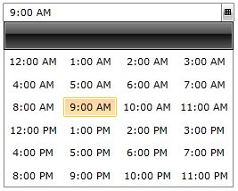 Wpf Timepicker Overview Telerik Ui For Wpf