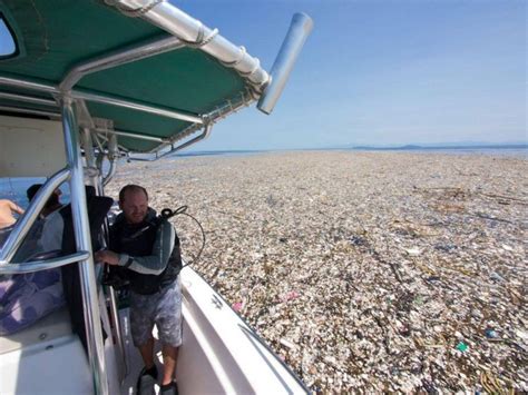A Ilha de plástico do oceano Pacífico Mochilas de Emergência