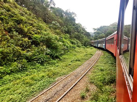 Como é o passeio de trem de Curitiba à Morretes Lu por aí
