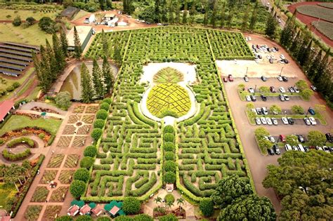 Drone Permission On Twitter Dole Plantation In Oahu Hawaii Offers