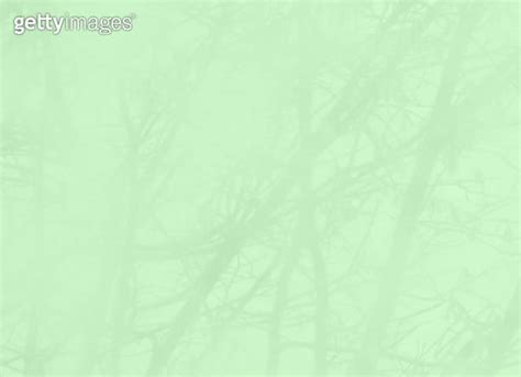 Backgrounds Of Pastel Colored Silhouette Of Naked Branches