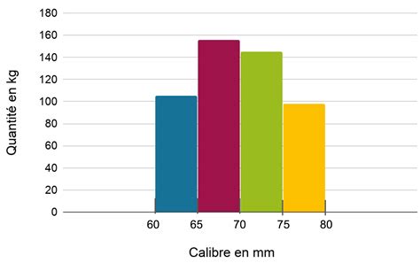 Les représentations graphiques d une série statistique Seconde
