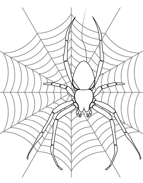 Imagens De Aranhas Para Imprimir E Colorir 8 Fichas E Atividades