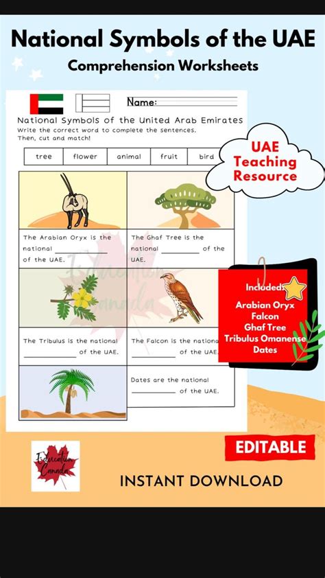 UAE Teaching Resource National Symbols Of The UAE Comprehension Worksheets