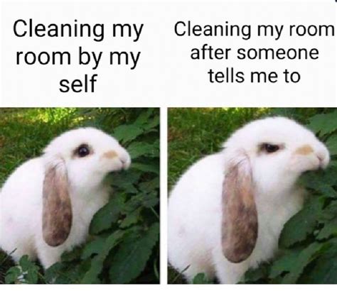 Cleaning Meme Subido Por Thememehunter Memedroid