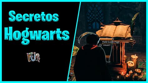 Como Encontrar TODOS Los SECRETOS De HOGWARTS Hogwarts Legacy YouTube