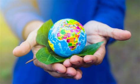 Ten en cuenta estos 10 consejos prácticos en el Día Mundial del Medio