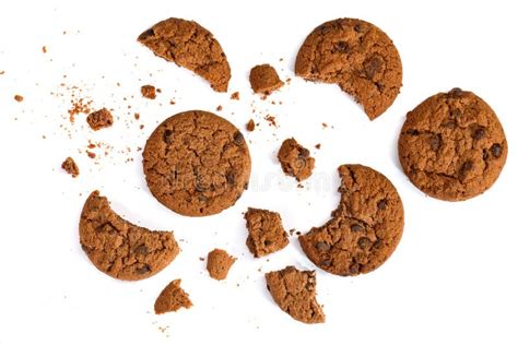 Biscuits De Puce De Chocolat D Isolement Photo Stock Image Du Fond