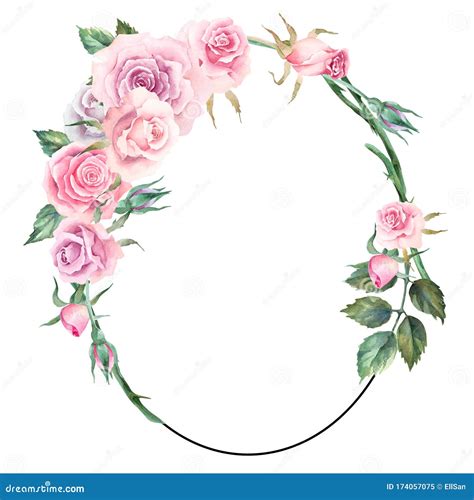 Marco Oval Con Hojas Y Brotes De Color Rosa De Las Rosas En Una Mano