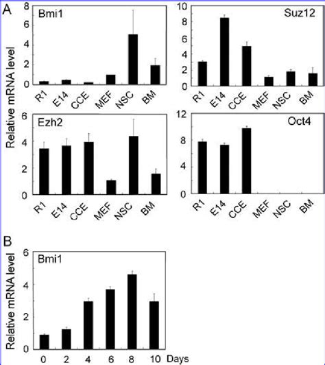 Bmi1 Is Not Expressed In ESC A Gene Expression Of Bmi1 Ezh2 And