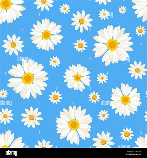 Chrysanthemum Daisies Stock Vector Images Alamy