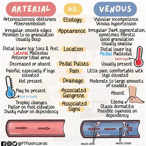 PT Flashcards On Twitter RT PTFlashcards Arterial Vs Venous