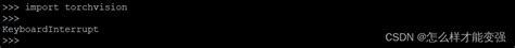 解决import torch 报错：failed to load image python extension warn f“failed to load image python