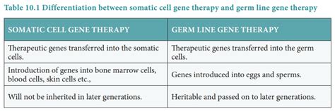 Gene Therapy Applications Of Biotechnology