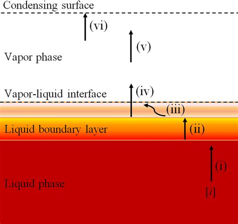 Schematic Of The Mass Transfer Process Of Component I From Liquid