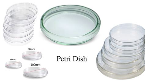 Petri Dish Definition Parts Types Uses Examples 59 OFF