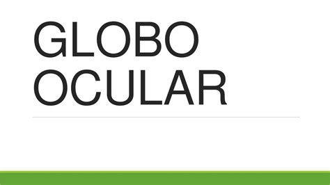 Ojo Y O Do Histolog A Middlemedic Udocz