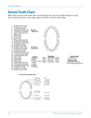 Blank Dental Tooth Chart Fill And Sign Printable Template Online