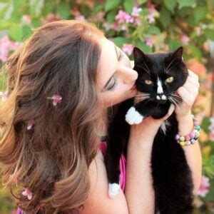 Razones Para Adoptar Un Gato